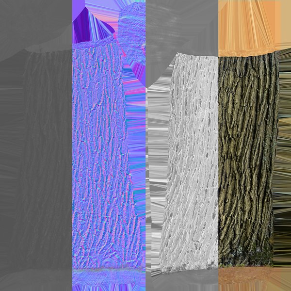 Tree trunk 01 3D model - TurboSquid 1482553