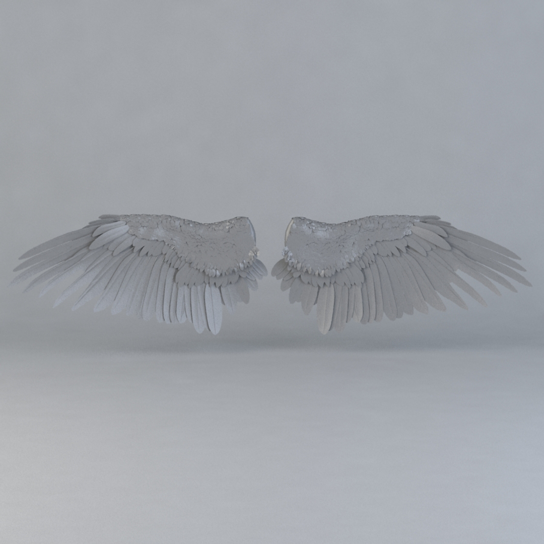 bird wings 3d max