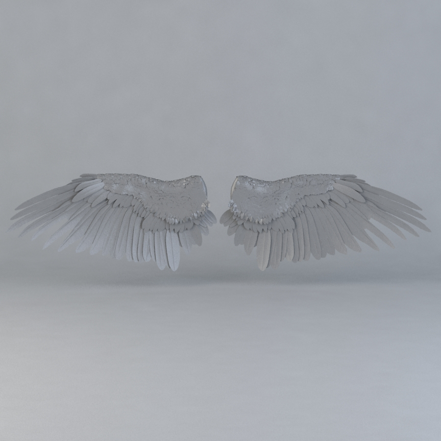bird wings 3d max