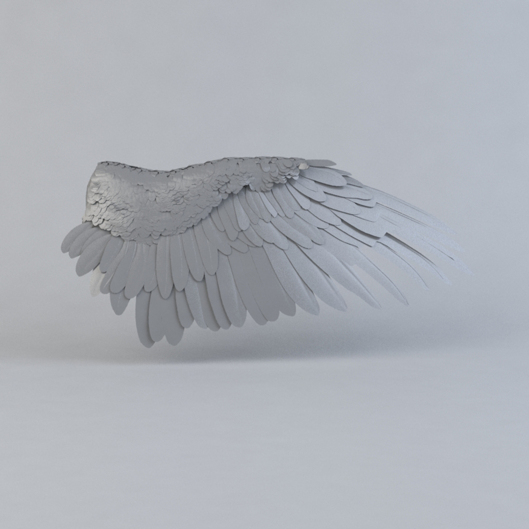 bird wings 3d max