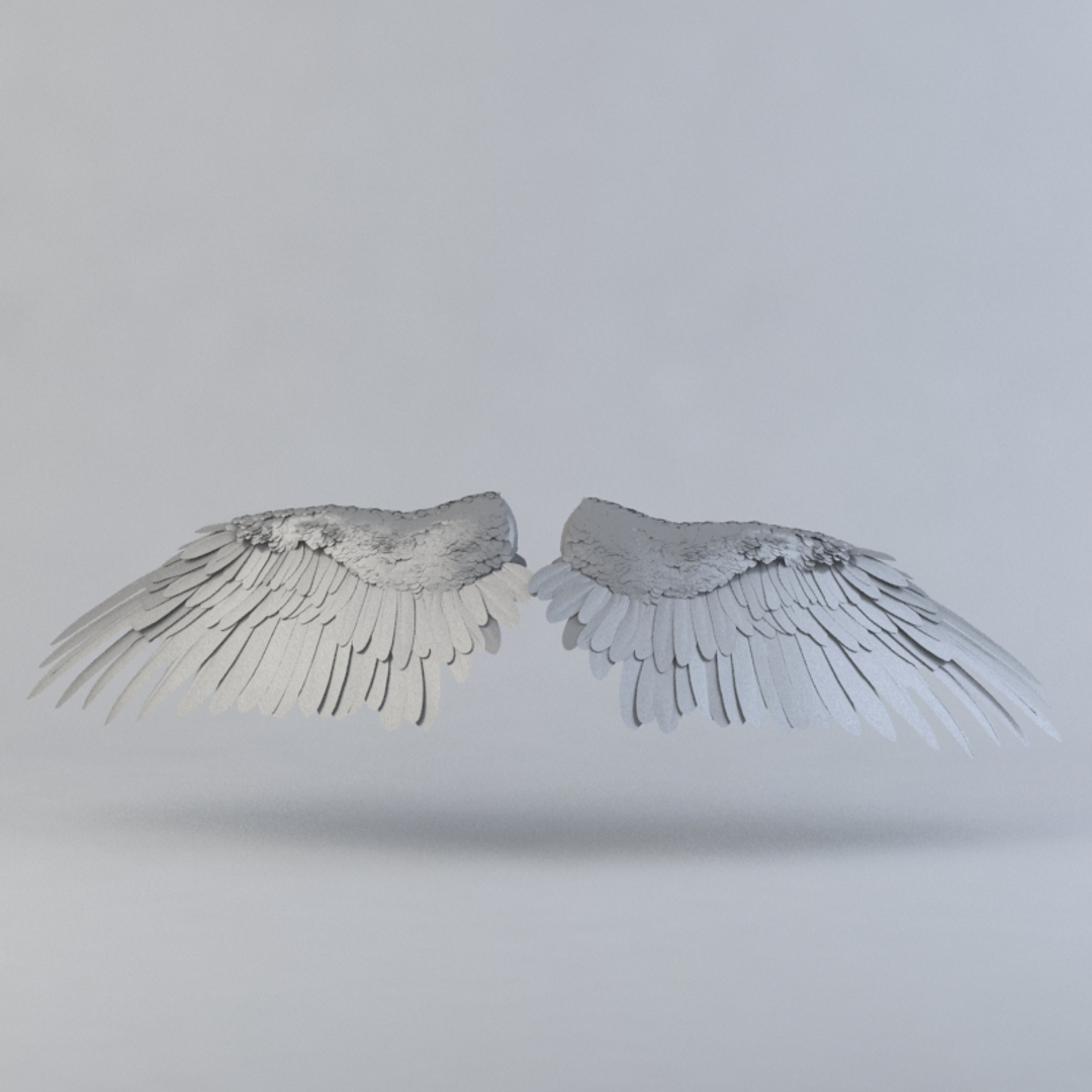 Bird Wings 3d Max