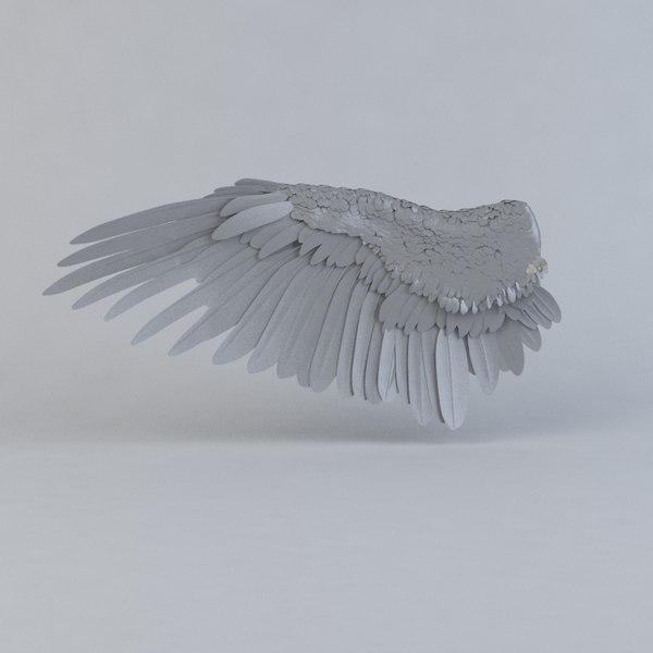 bird wings 3d max