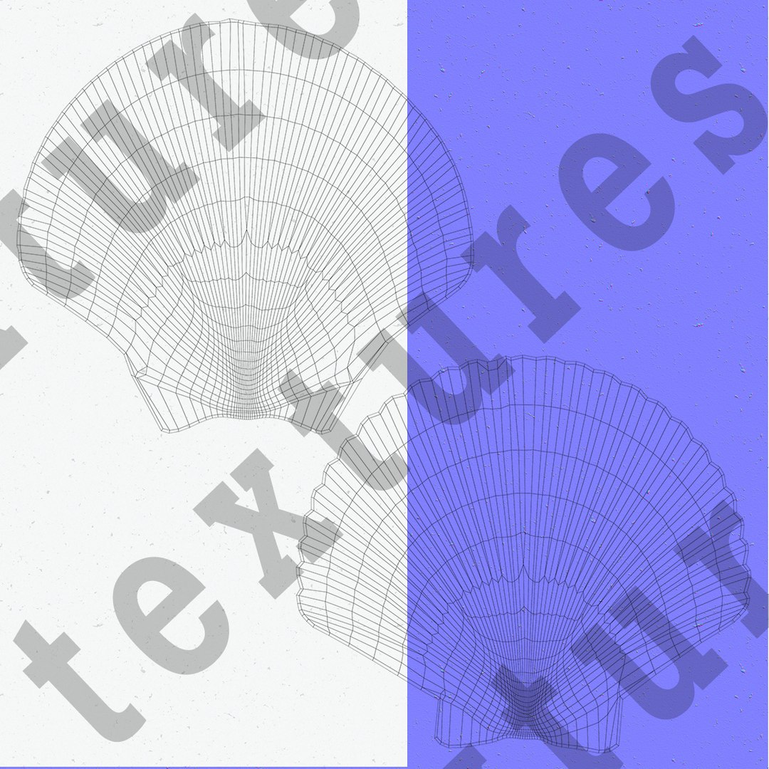3d Shell