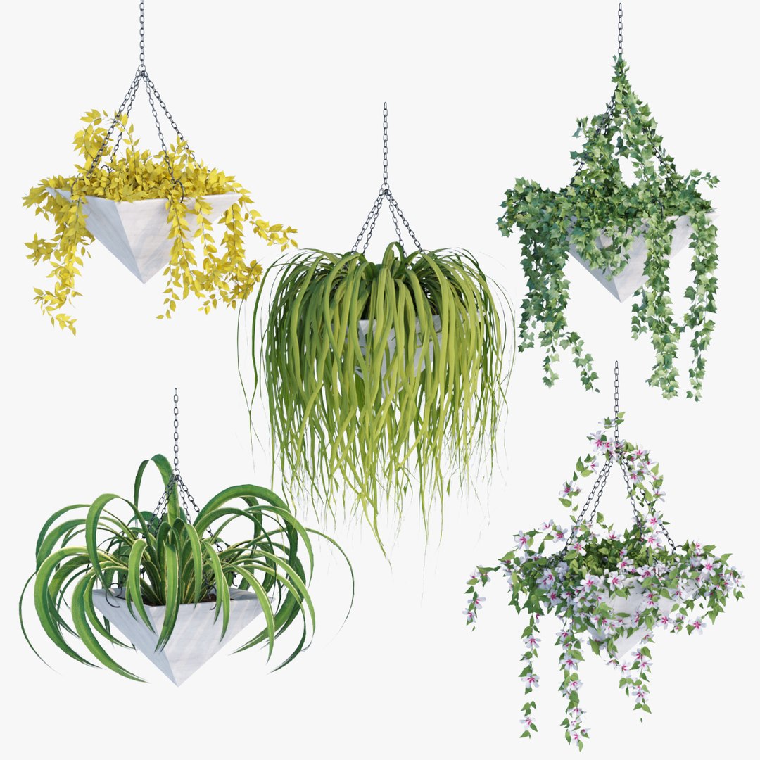 3D Hanging plant indoor collection vol 46 model - TurboSquid 1955930