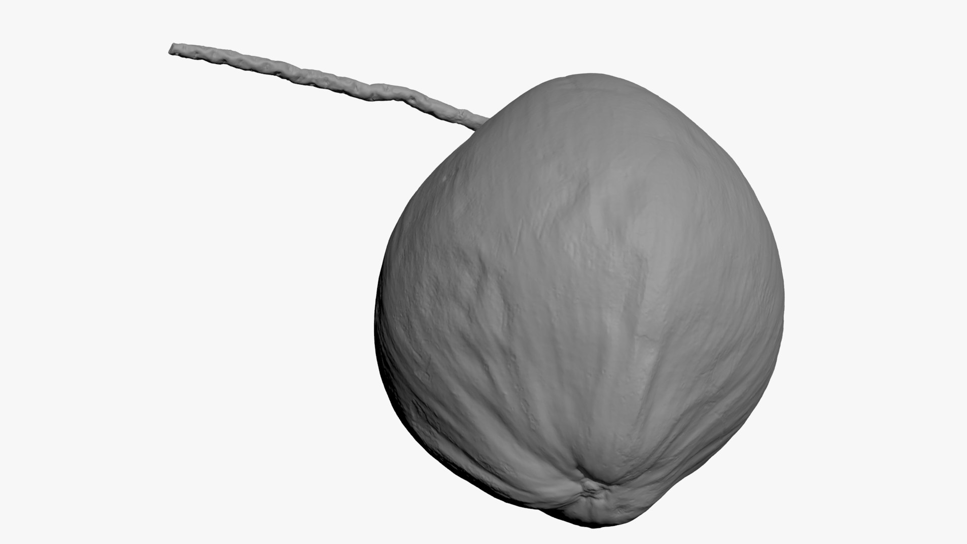 3D Model Green Coconut With Stem 01 For 3D Print - TurboSquid 2319482