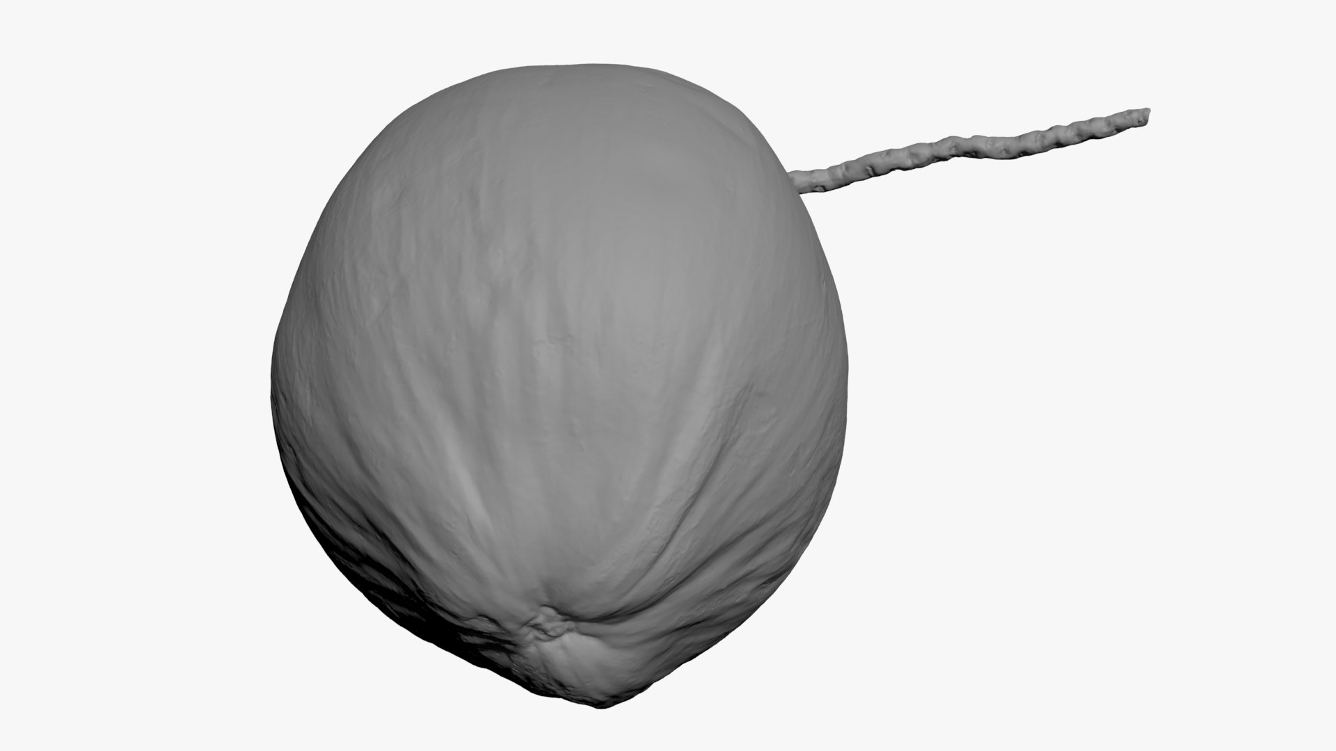 3D Model Green Coconut With Stem 01 For 3D Print - TurboSquid 2319482