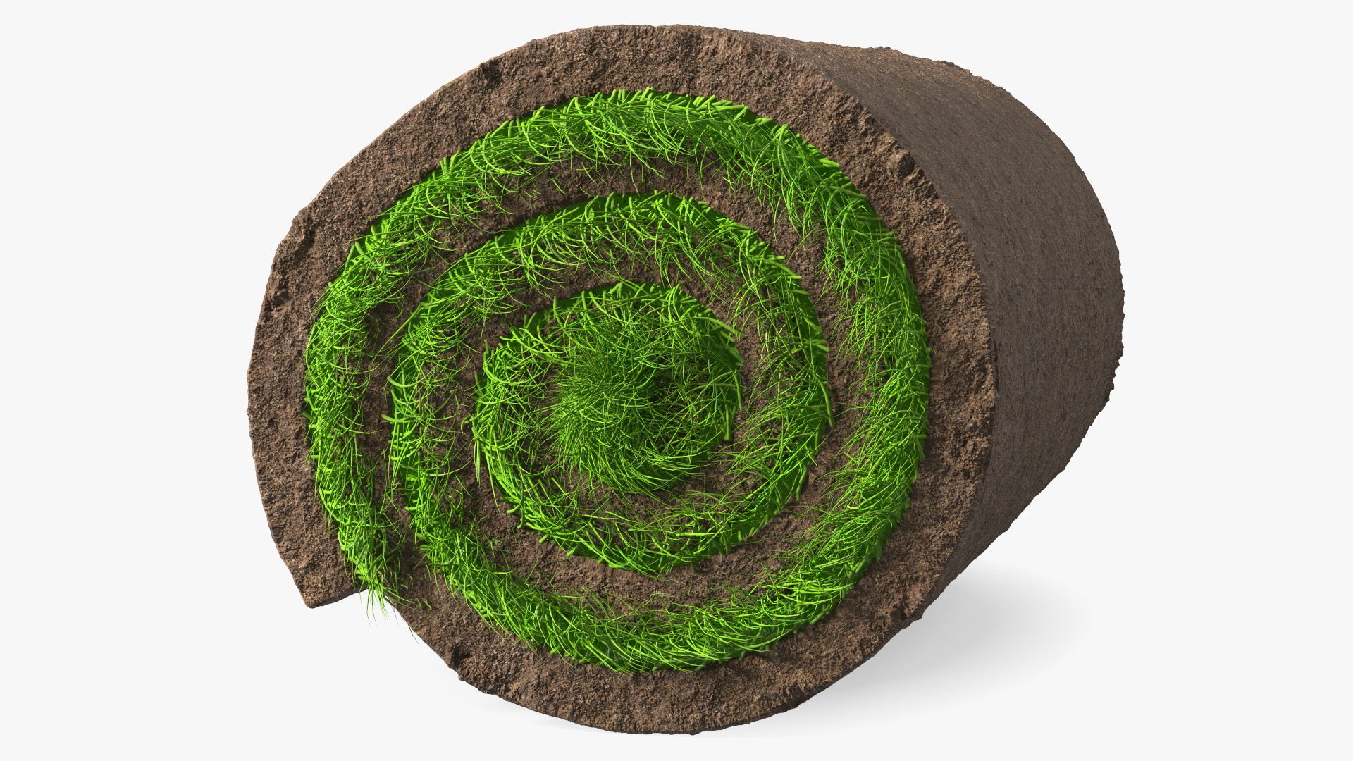 3D Model Lawn Turf Roll Folded Fur - TurboSquid 1882217