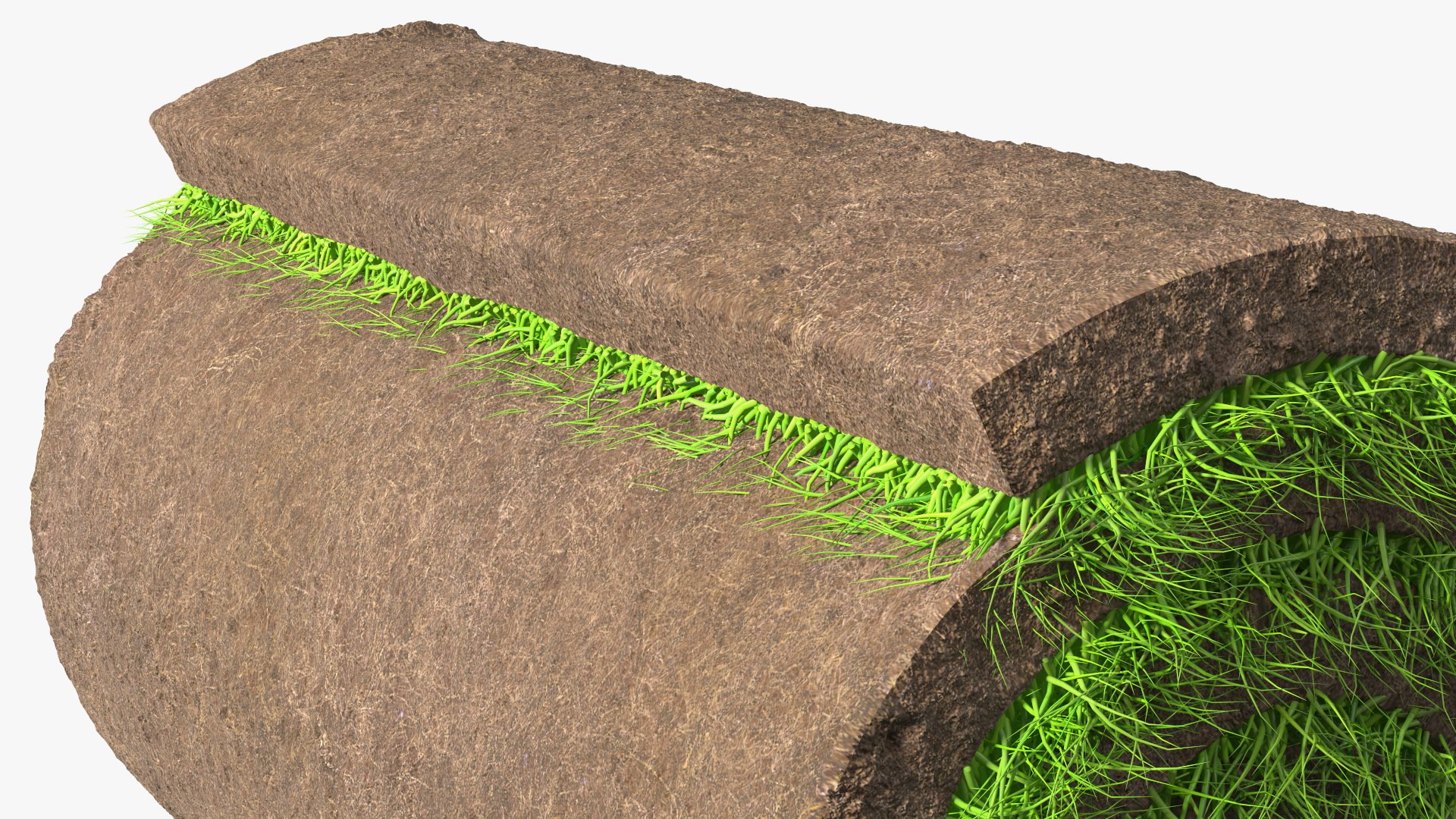 3D Model Lawn Turf Roll Folded Fur - TurboSquid 1882217