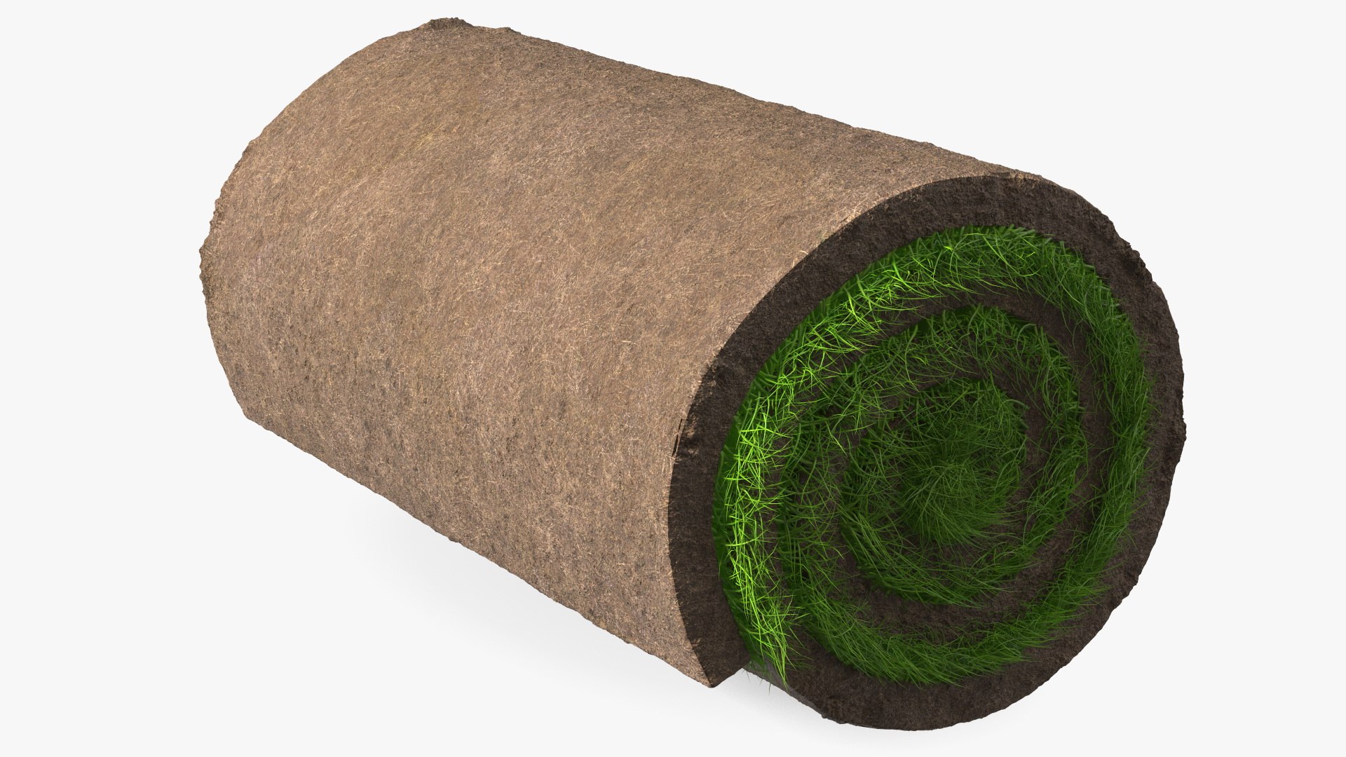 3D Model Lawn Turf Roll Folded Fur - TurboSquid 1882217