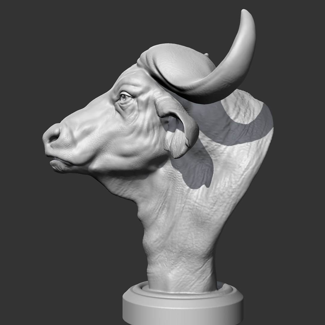Buffalo Head AM03 Print 3D Model - TurboSquid 2065450