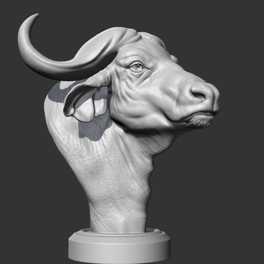 Buffalo Head AM03 Print 3D Model - TurboSquid 2065450