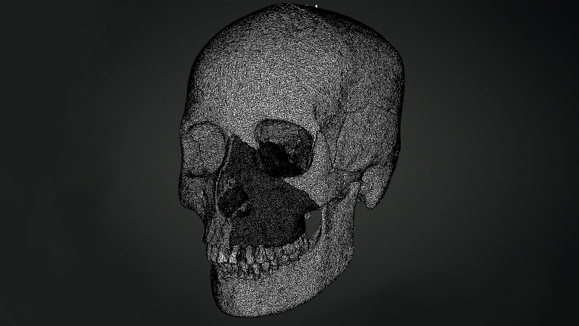 3D Human Skull Animation - TurboSquid 1845101
