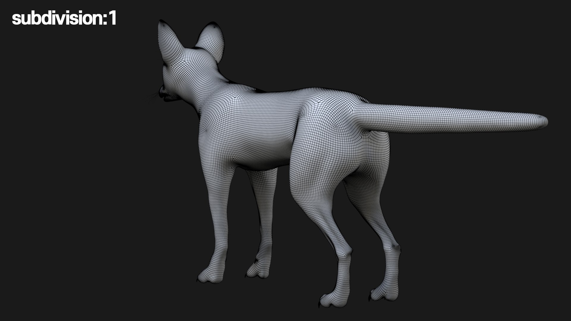 Fox Rigged 3D Model - TurboSquid 1492245