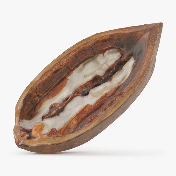 modelo 3d Pecan Nut Shell Open 04 - TurboSquid 2028307