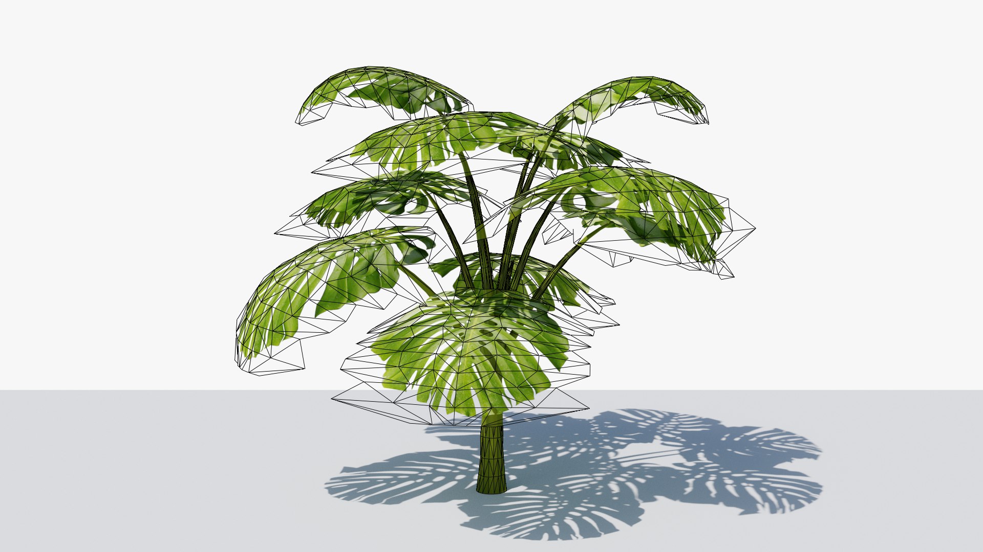 3D Monstera Tropical Plant - TurboSquid 2030582