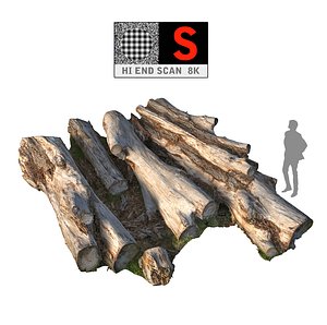 3D Model Riverbed Rock Mud Tree - TurboSquid 1328948