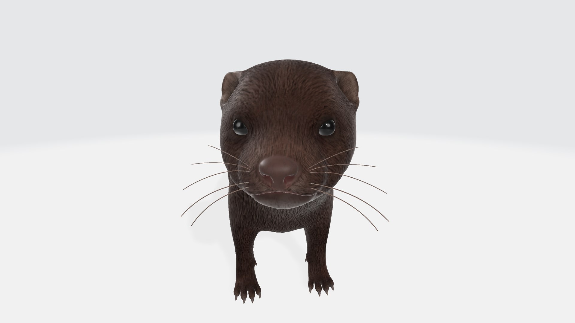Mink 3D Model - TurboSquid 2303006