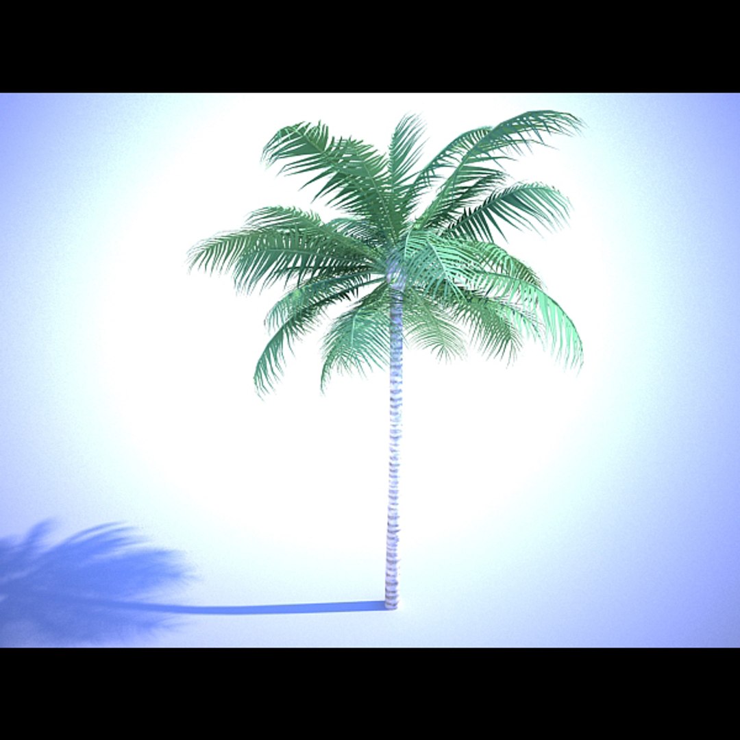max palm tree