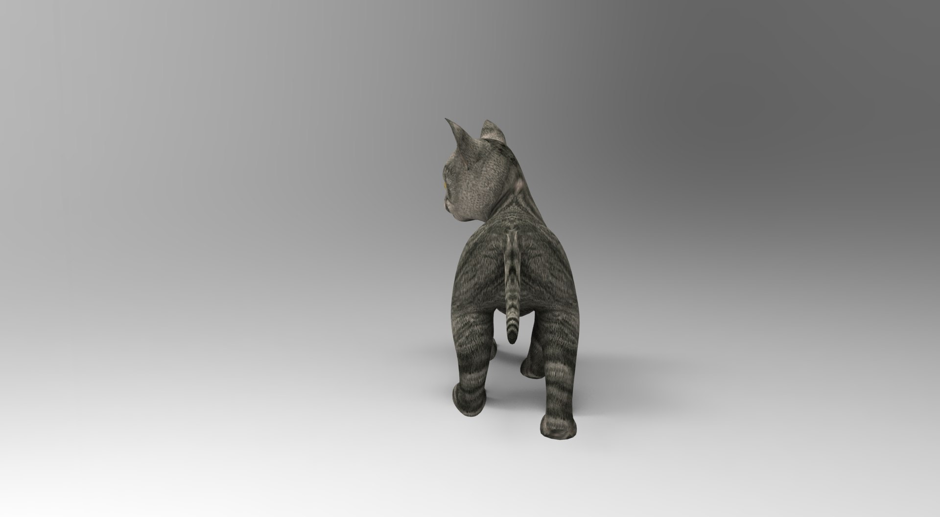 3D cute cat rigged model - TurboSquid 1160432