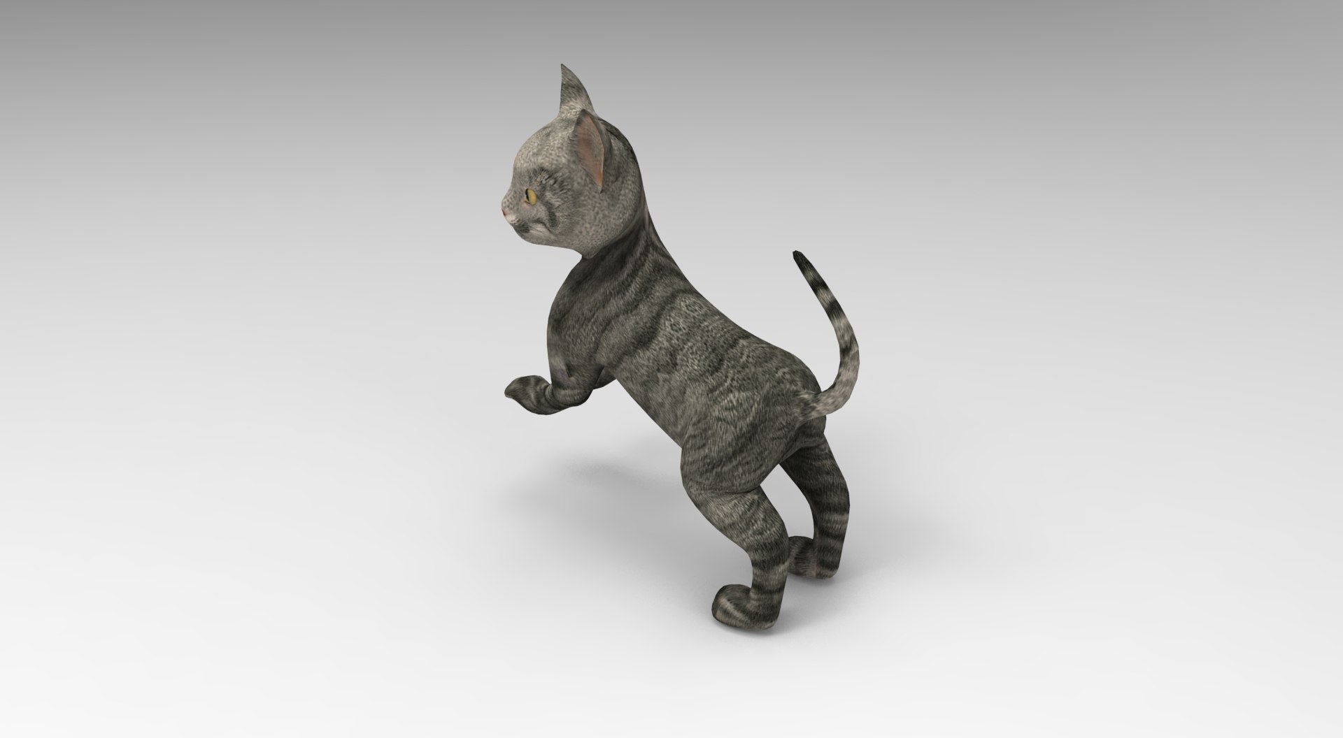3D cute cat rigged model - TurboSquid 1160432