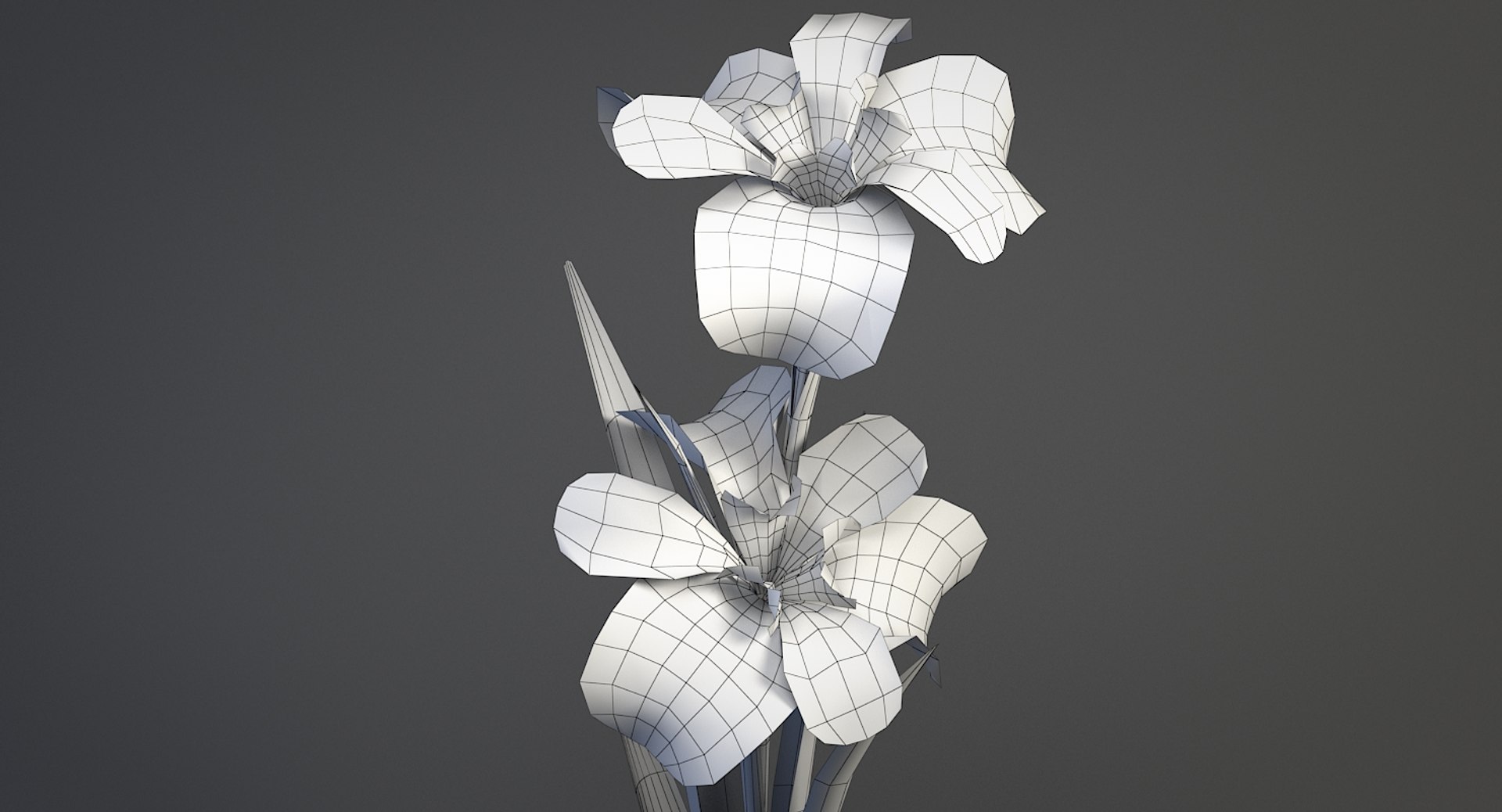 3D Realistic Irises Flower - TurboSquid 1253849