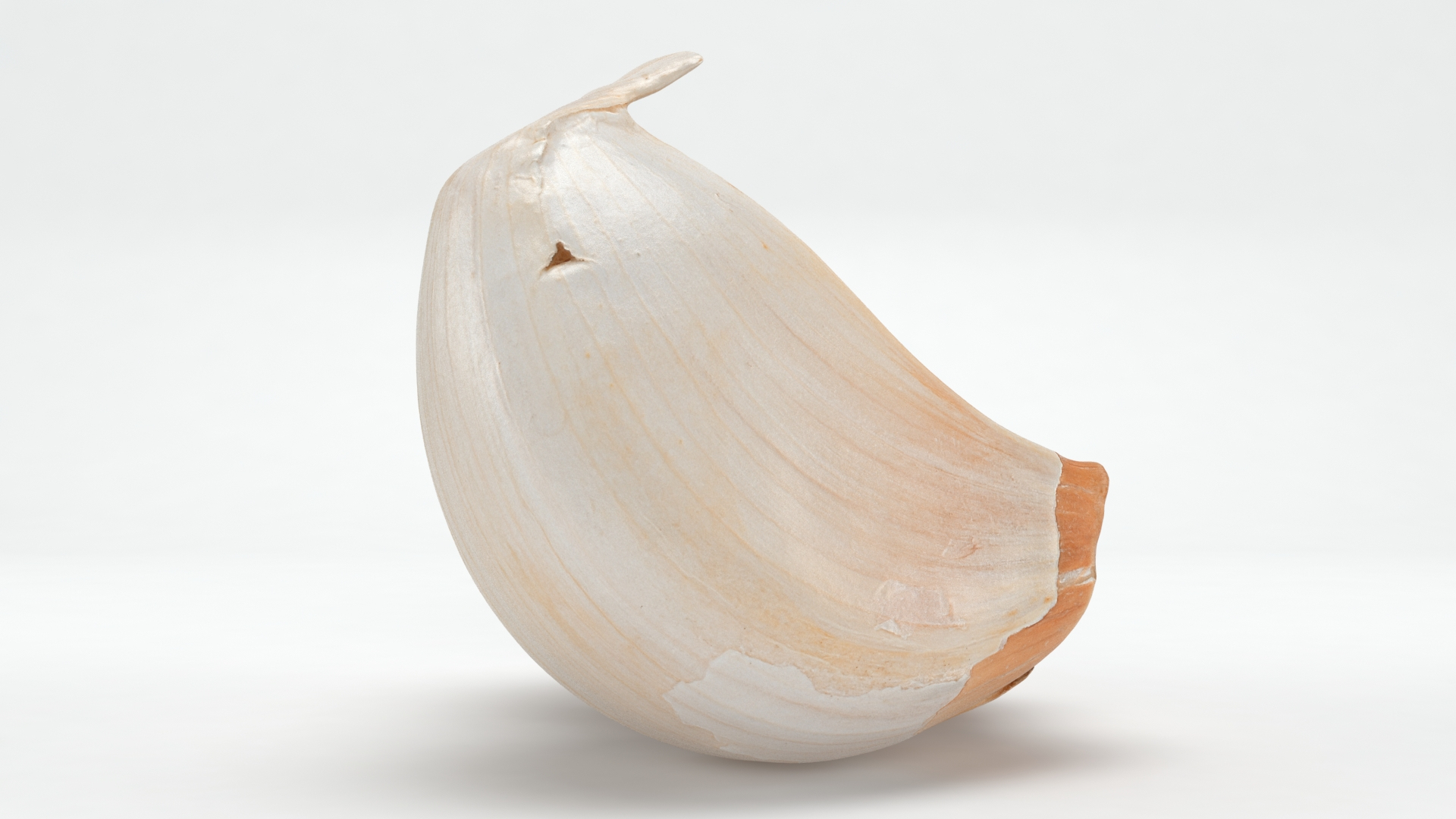 3D Garlic Collection 3 - TurboSquid 1965938