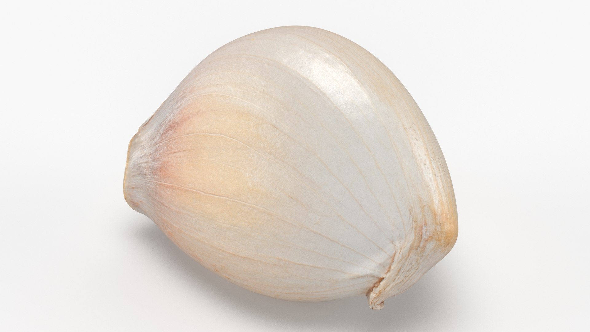 3D Garlic Collection 3 - TurboSquid 1965938