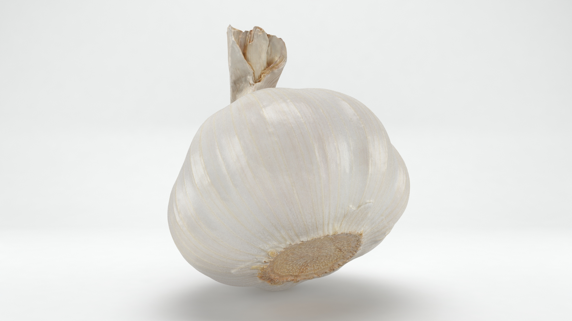 3D Garlic Collection 3 - TurboSquid 1965938