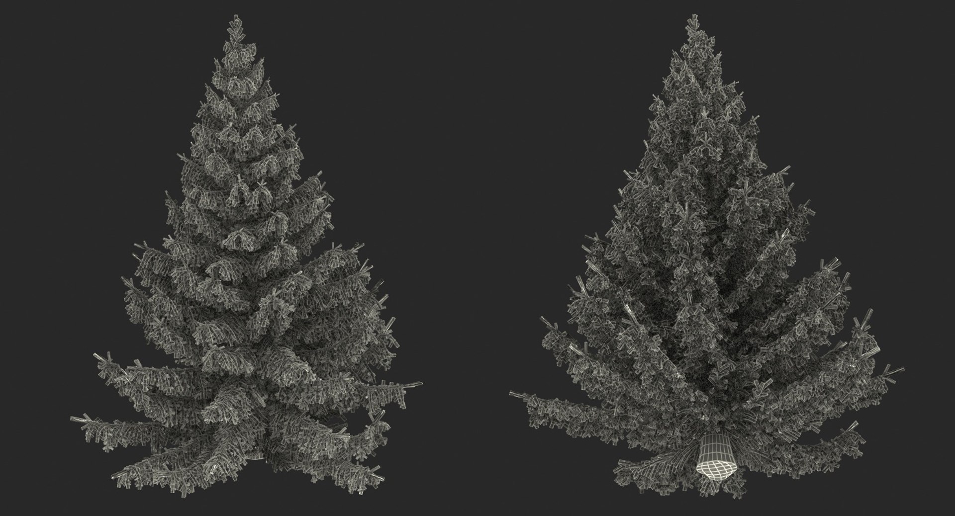 Serbian Spruce 3D Model - TurboSquid 1434814