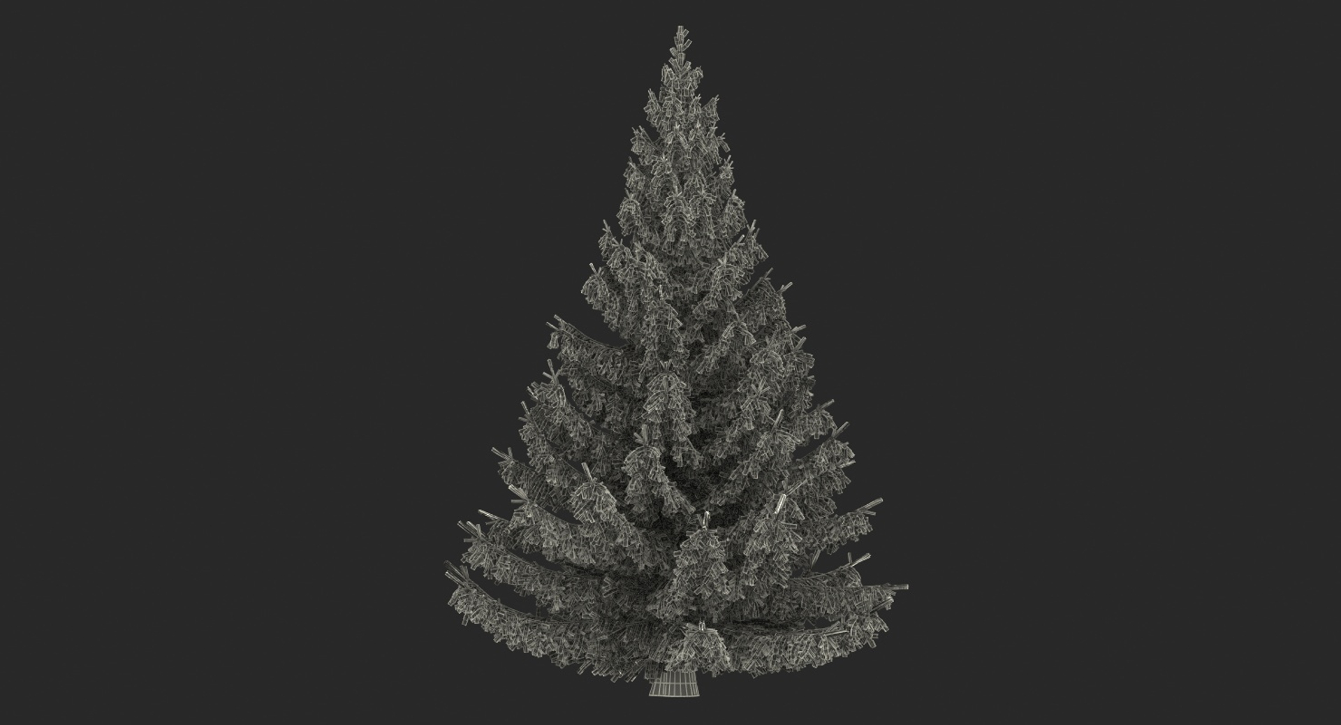 Serbian Spruce 3D Model - TurboSquid 1434814