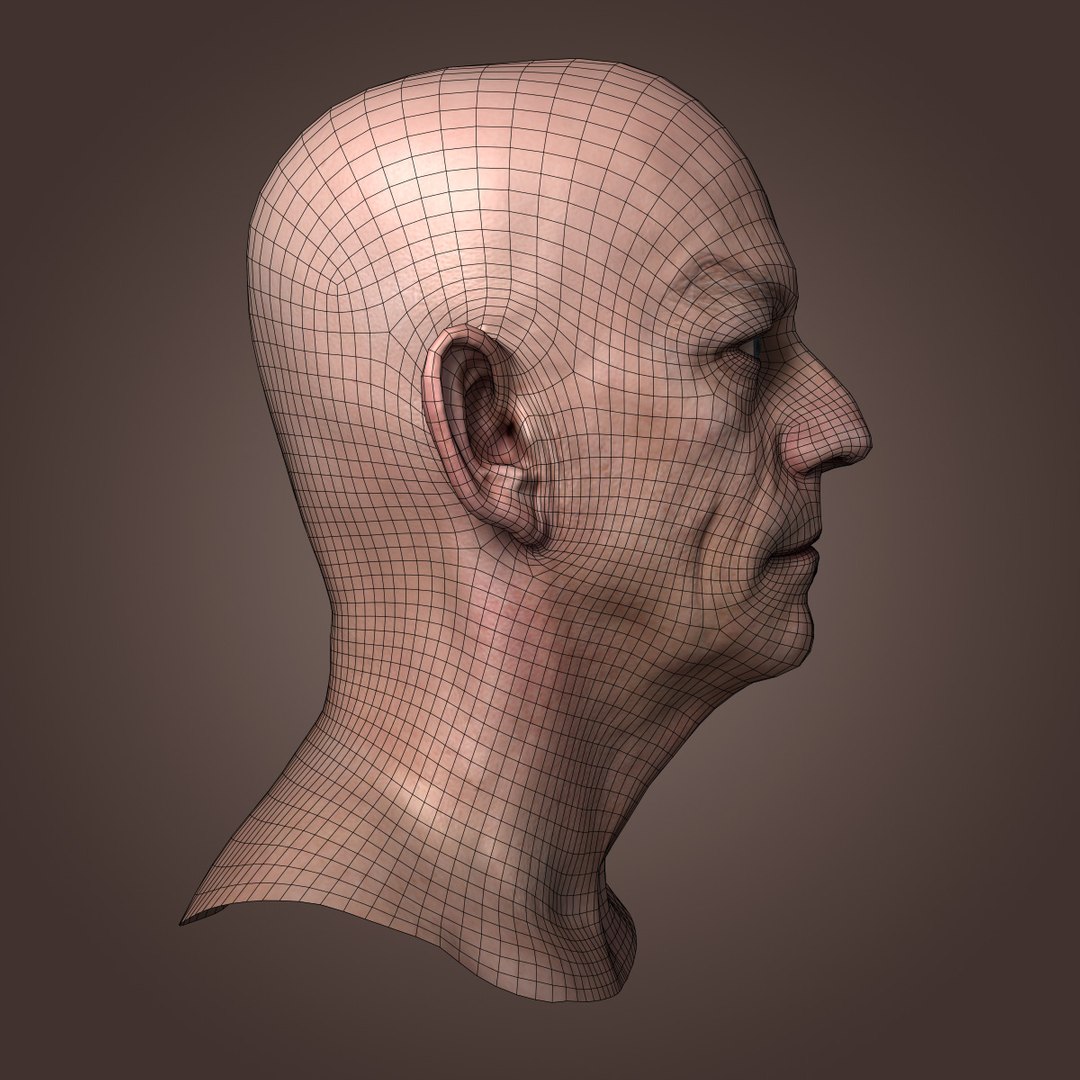 3d Frank Head