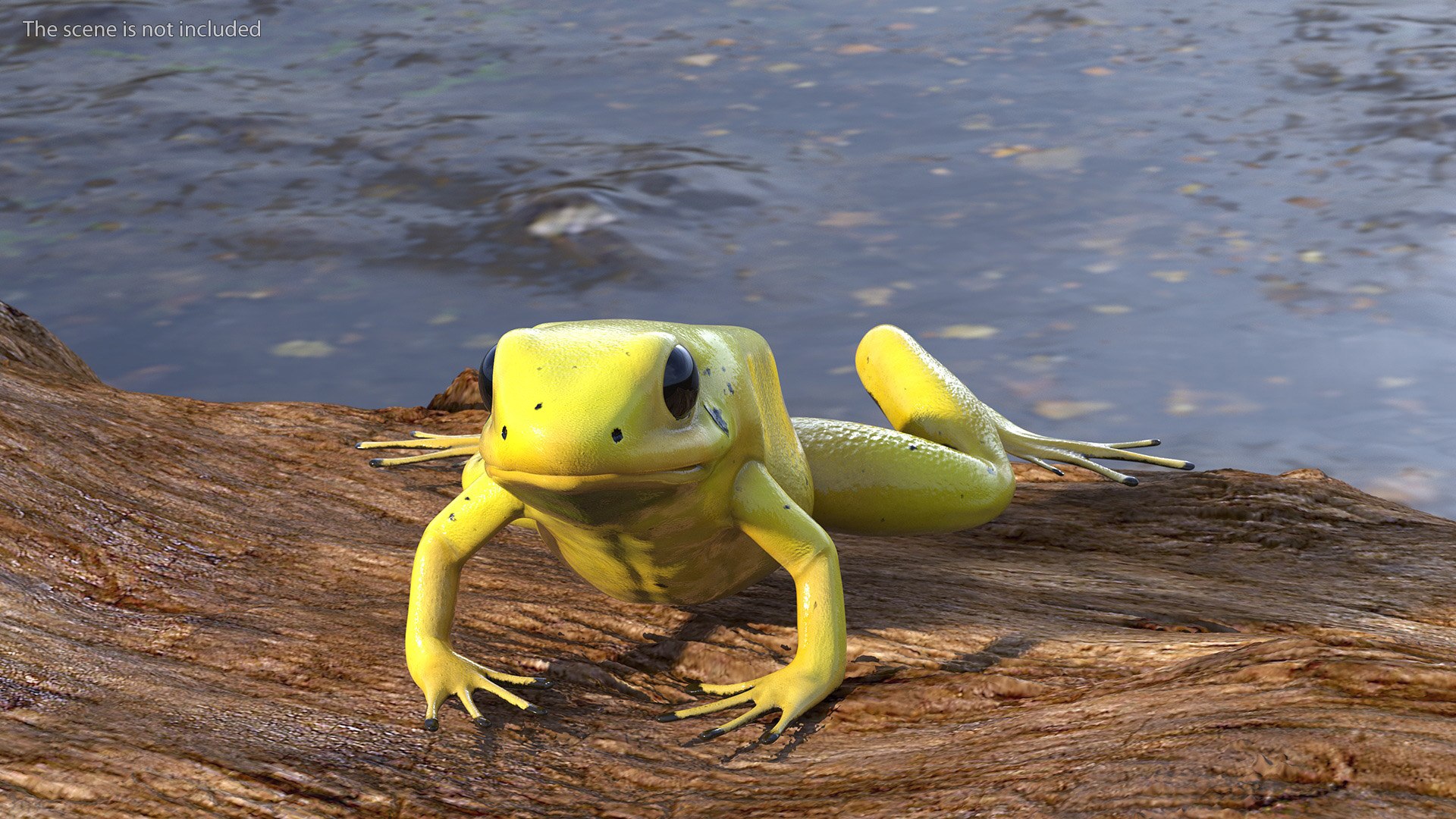 3D Golden Poison Arrow Frog Crawling Pose - TurboSquid 2189638