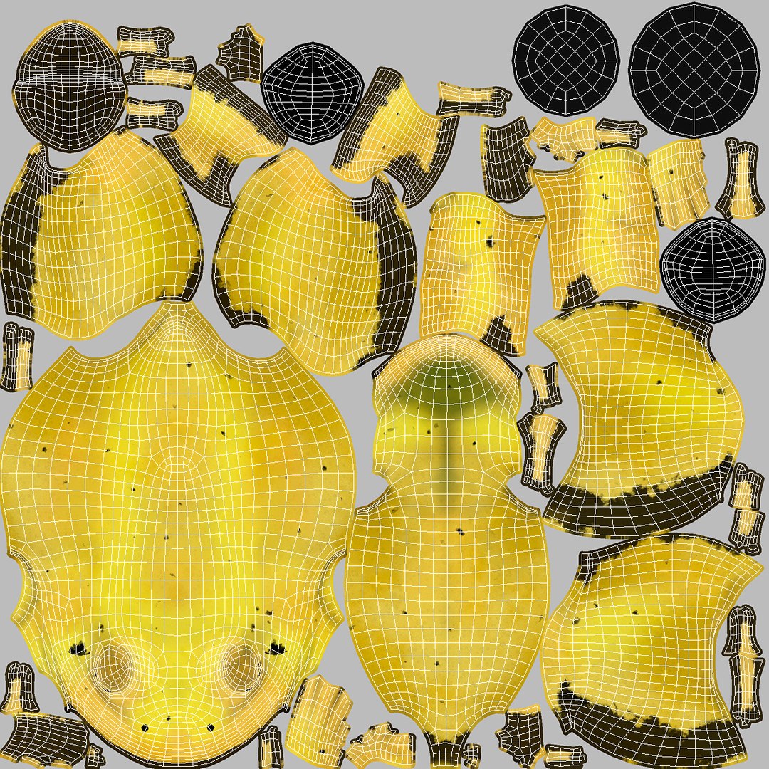 3D Golden Poison Arrow Frog Crawling Pose - TurboSquid 2189638
