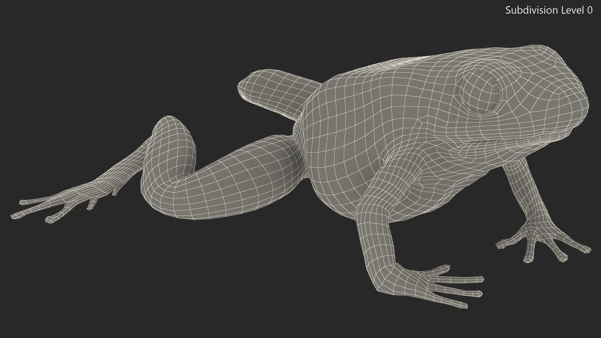 3D Golden Poison Arrow Frog Crawling Pose - TurboSquid 2189638