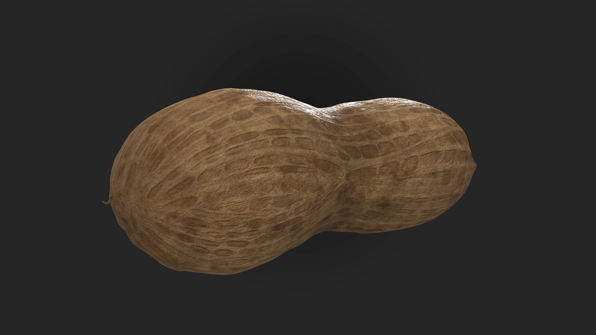 3D Peanut - TurboSquid 2242822