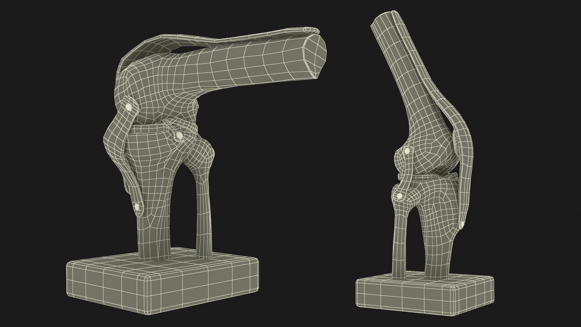Anatomical Model Of Knee Joint Rigged 3D Model - TurboSquid 2280189