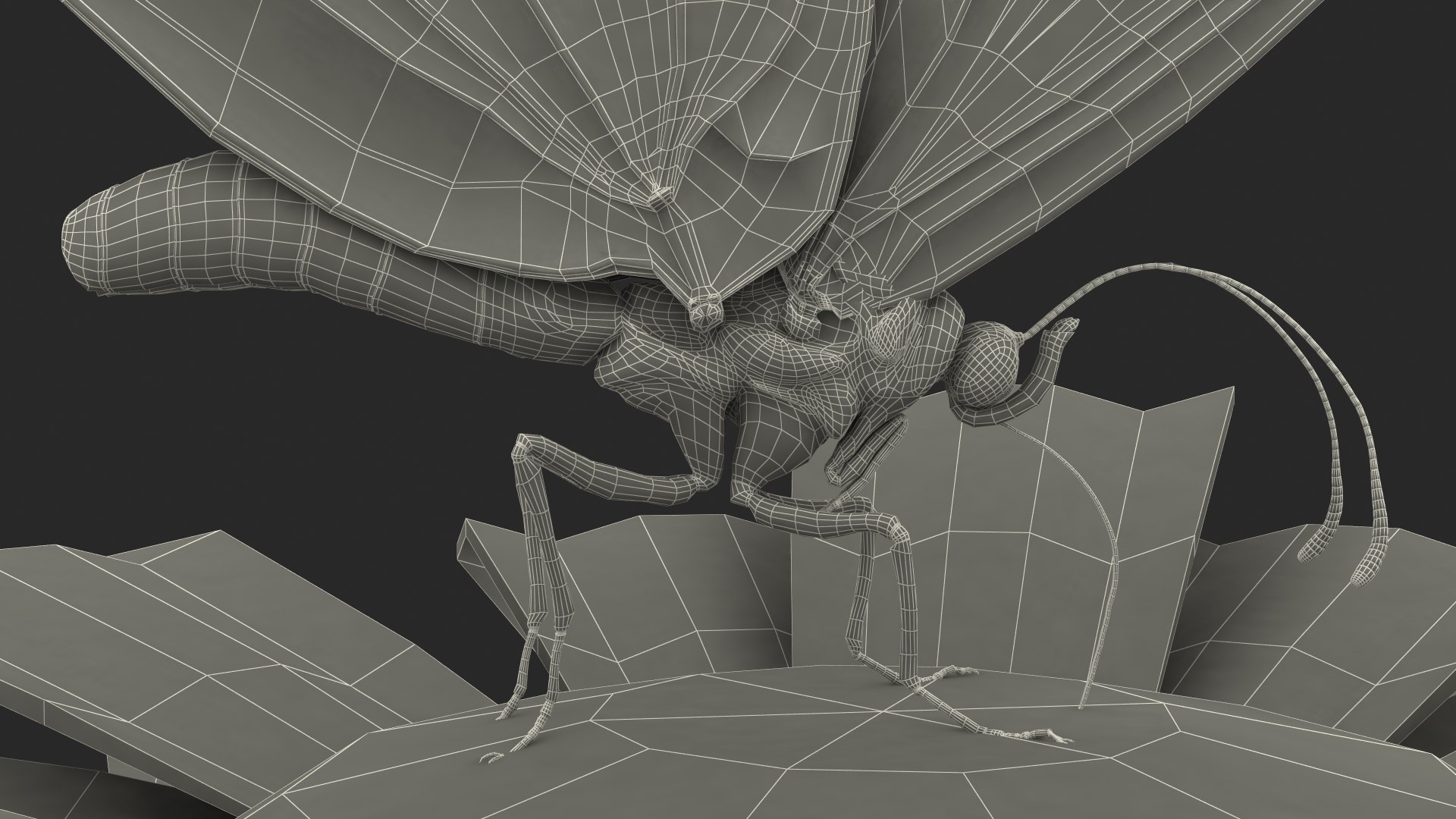 Monarch Butterfly Collecting Flying Insect Model - TurboSquid 1582371