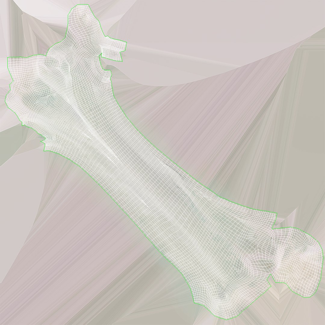 Domestic Cat Humerus Bone 01 model - TurboSquid 1913340
