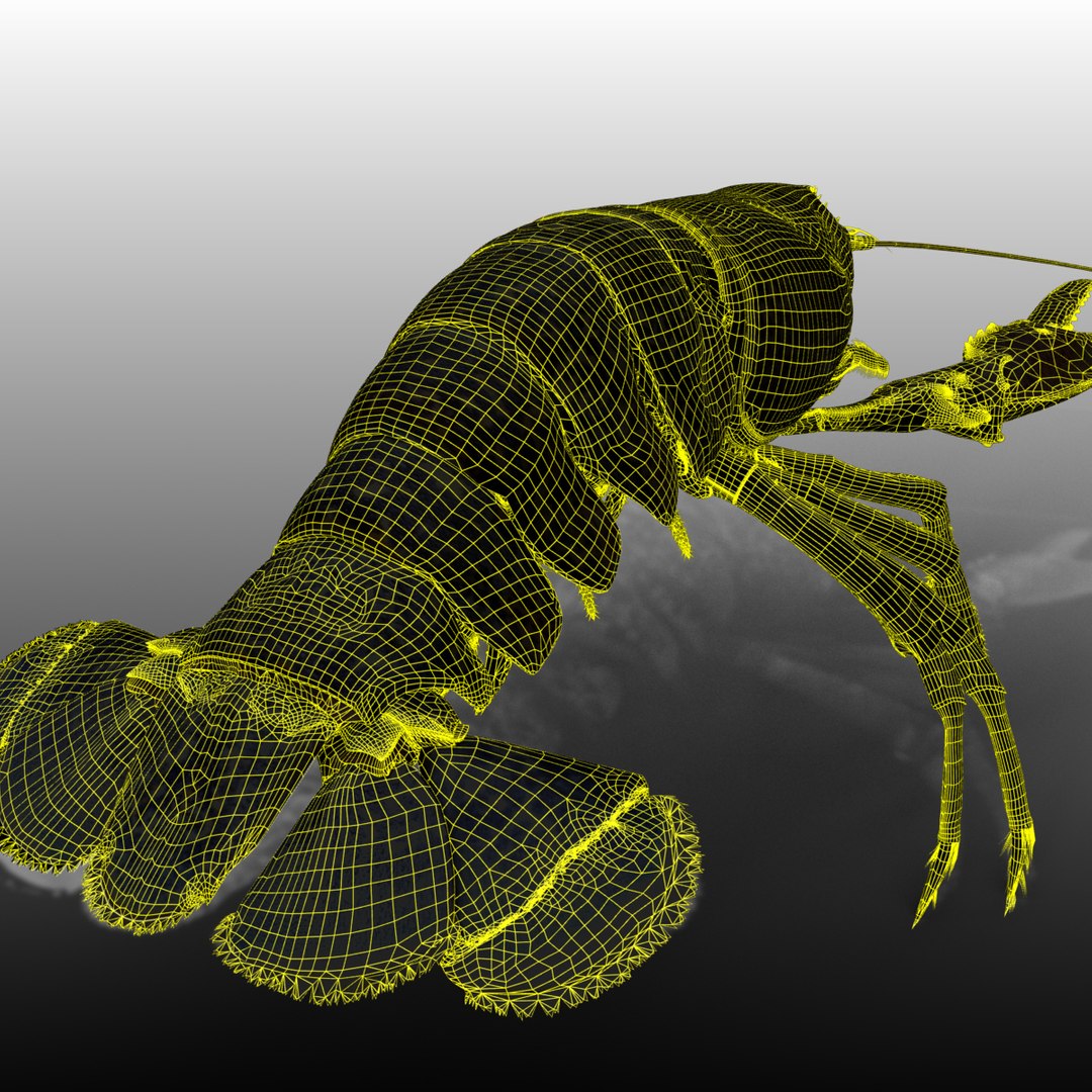 lobster arnold 3d xsi