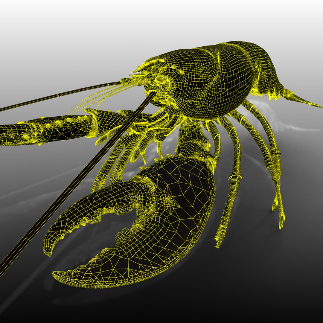 lobster arnold 3d xsi