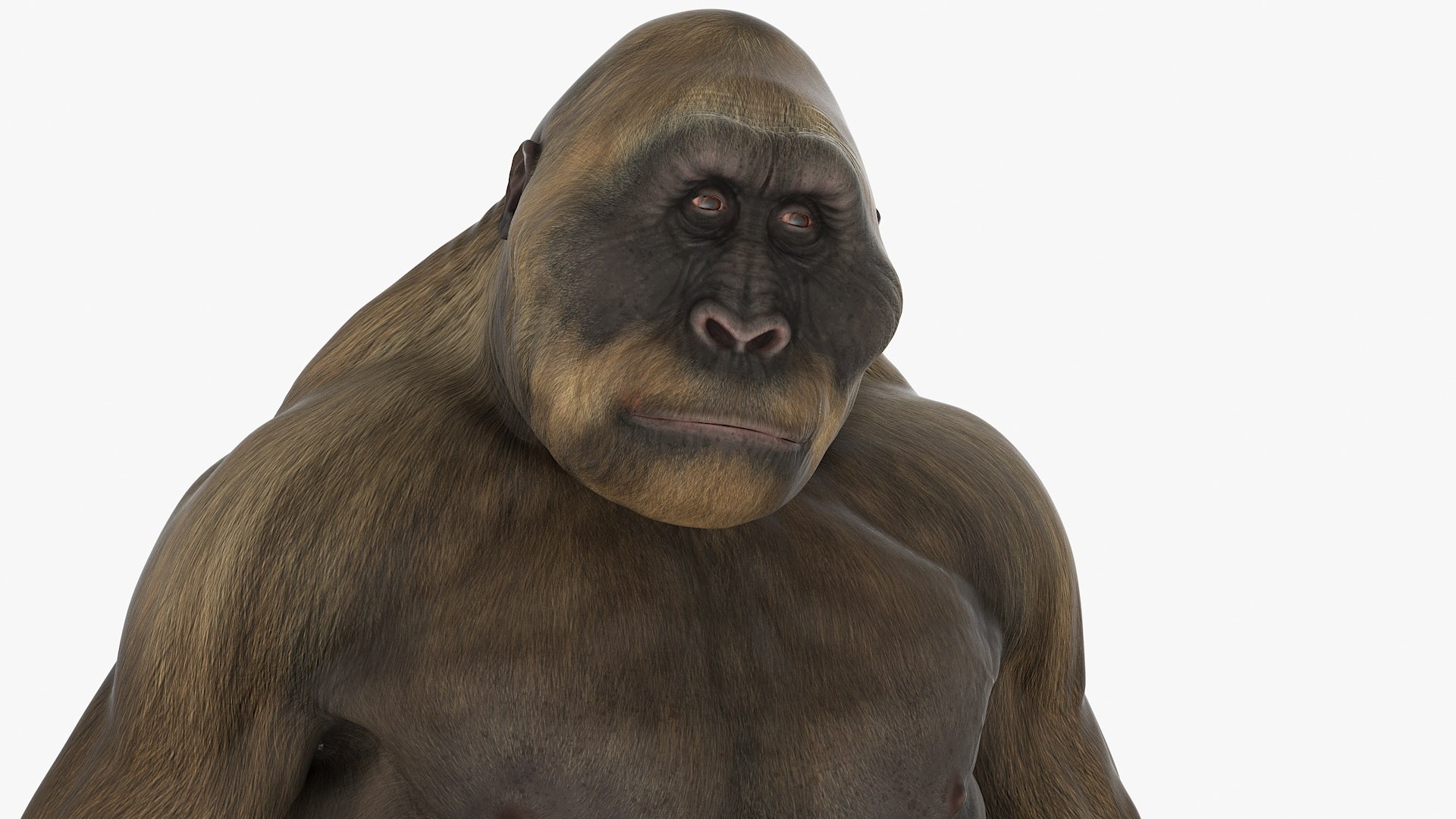 Big Ape Gigantopithecus In Standing Pose 3D - TurboSquid 2311456