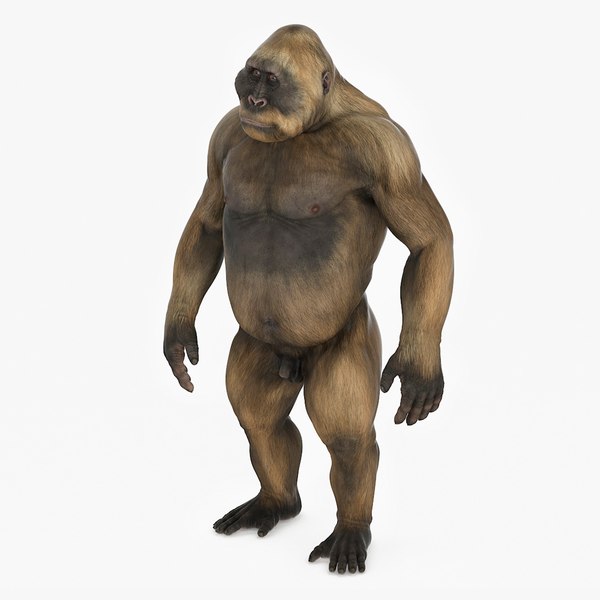 modelo 3d El gran simio Gigantopithecus en posición de pie - TurboSquid 2311456