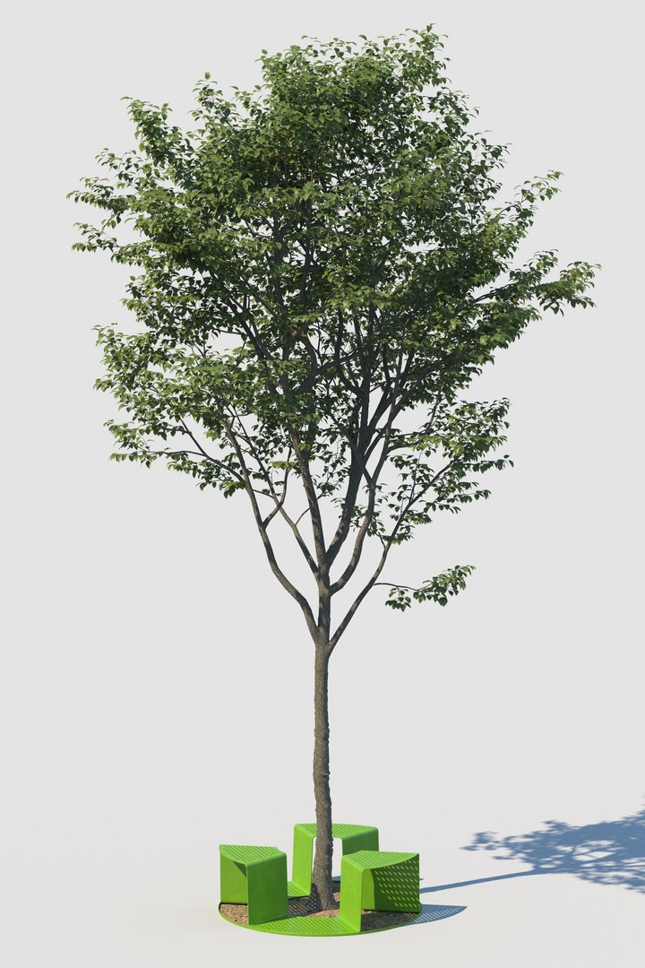 Park bench tree animation model - TurboSquid 1201708