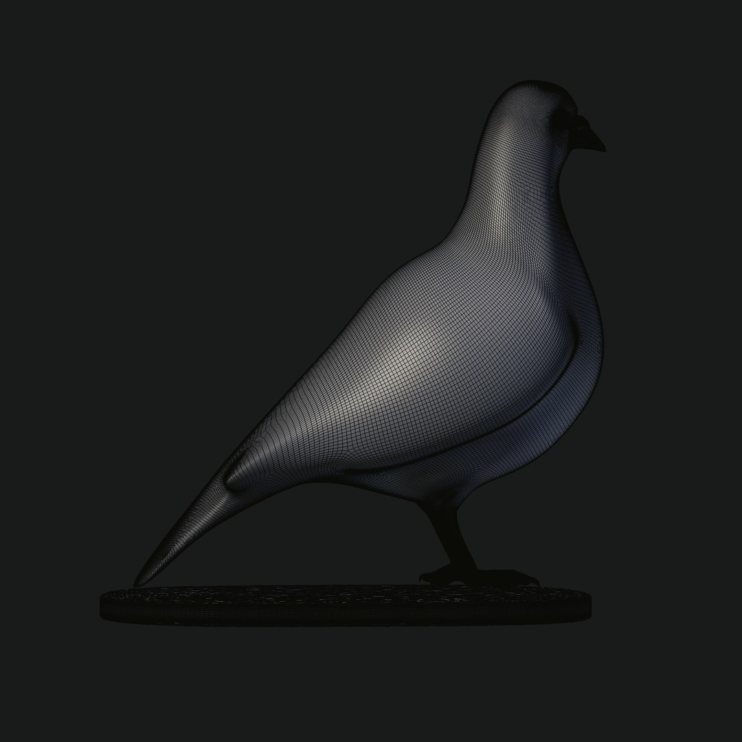 3D Pigeon Model - TurboSquid 2037815
