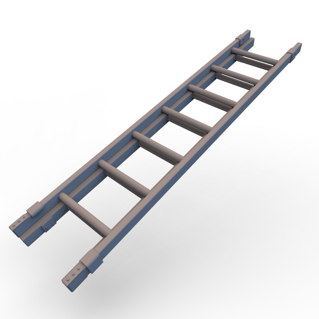 Extension Ladder 20 Foot 3d Model
