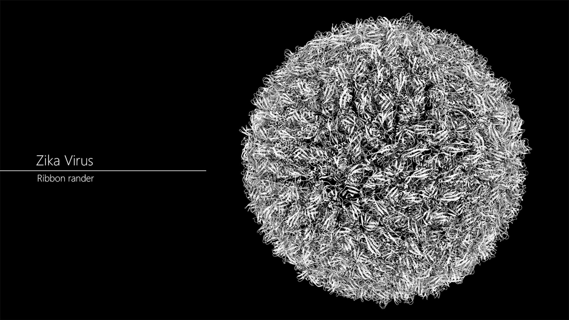 3D Scientifically Accurate Structure Zika - TurboSquid 1350175