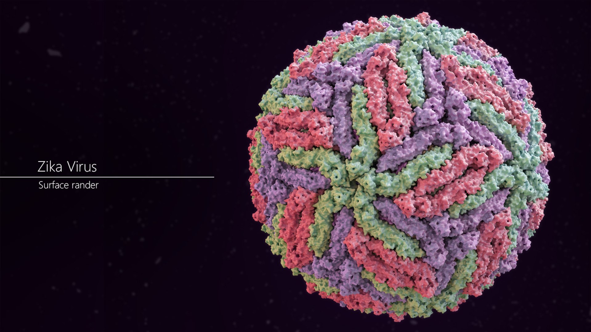 3D Scientifically Accurate Structure Zika - TurboSquid 1350175