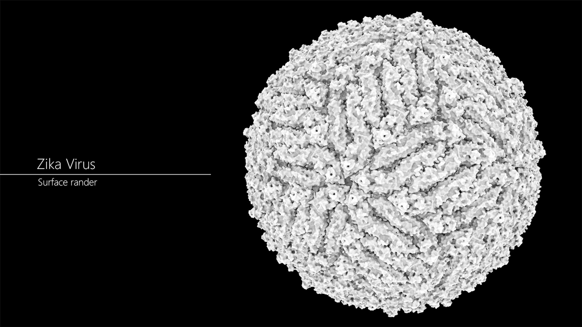 3D Scientifically Accurate Structure Zika - TurboSquid 1350175