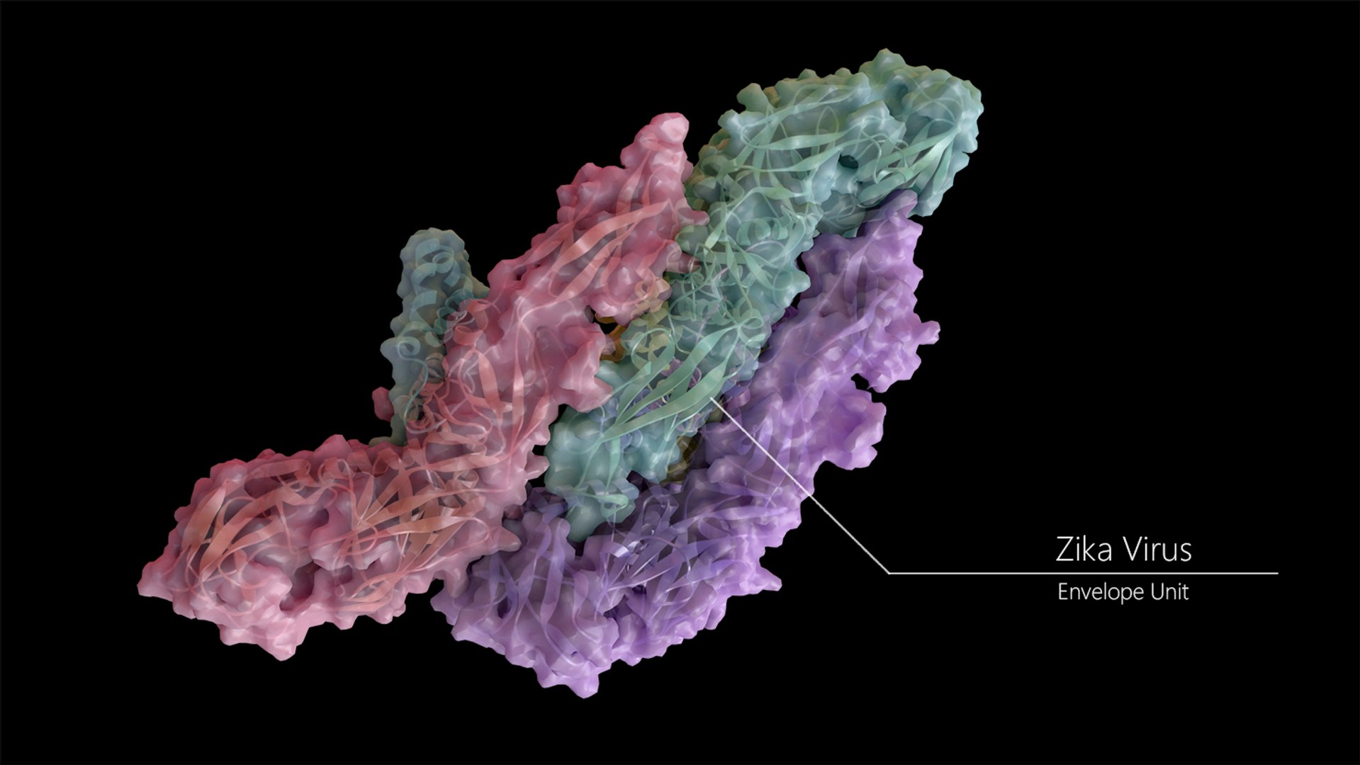 3D Scientifically Accurate Structure Zika - TurboSquid 1350175