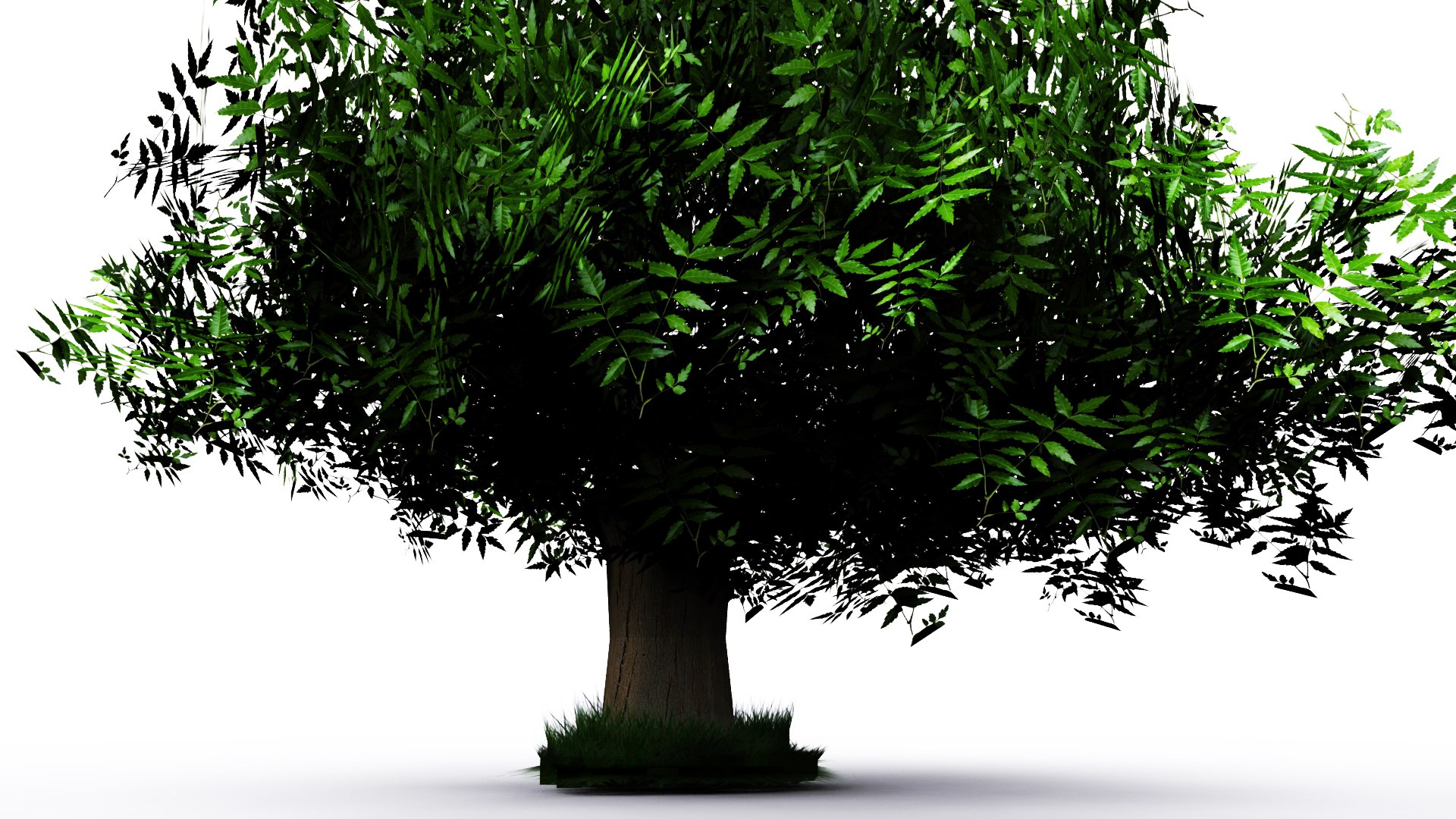 Tree 3D Model - TurboSquid 1728802